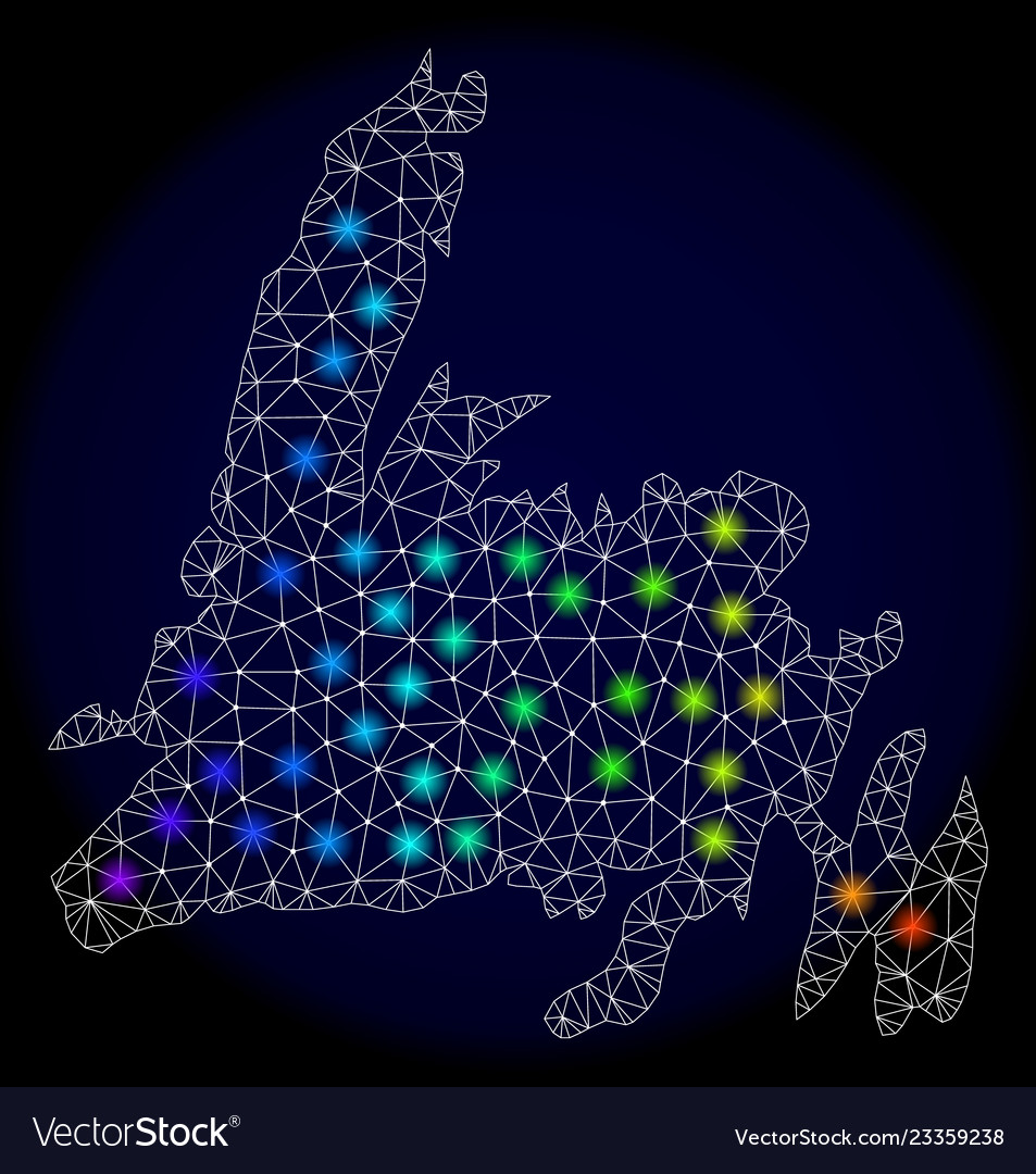 Polygonal network mesh map of newfoundland island Vector Image
