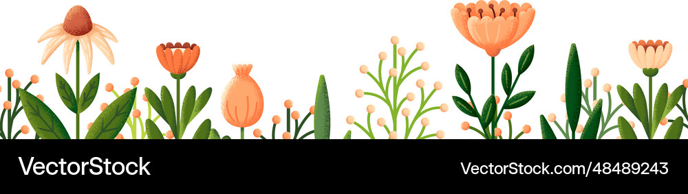 Growing flowers horizontal border in trendy Vector Image