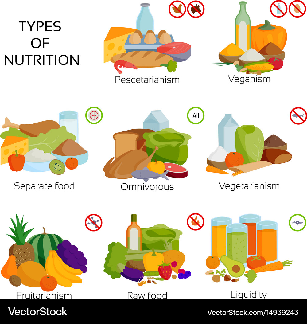 Healthy Food Types & Nutrition Royalty Free Vector Image