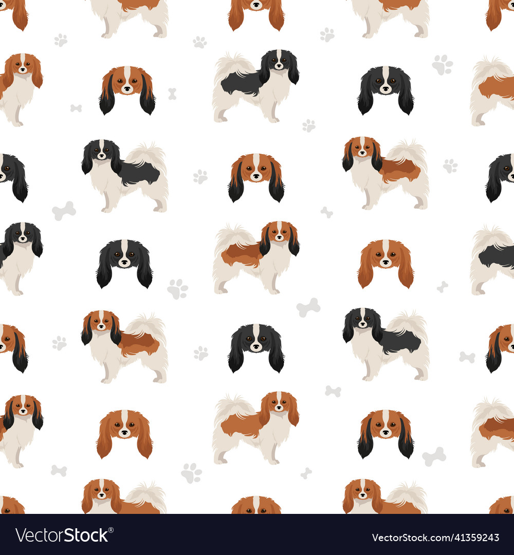 Phalene drop - eared papillon seamless pattern Vector Image