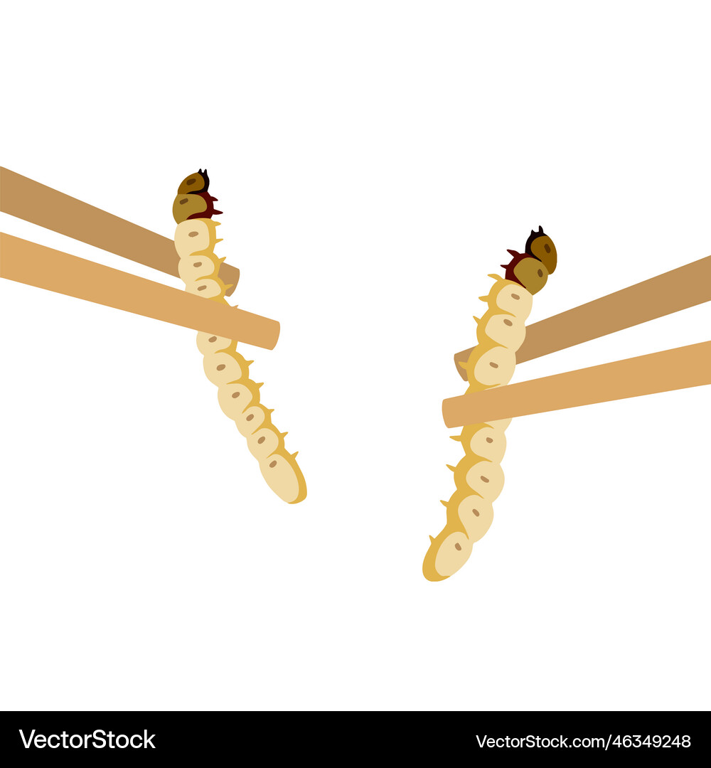 Edible larva eating caterpillar Royalty Free Vector Image