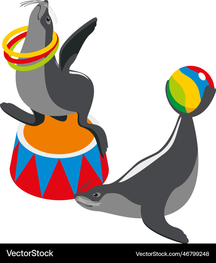 Isometric circus seals Royalty Free Vector Image