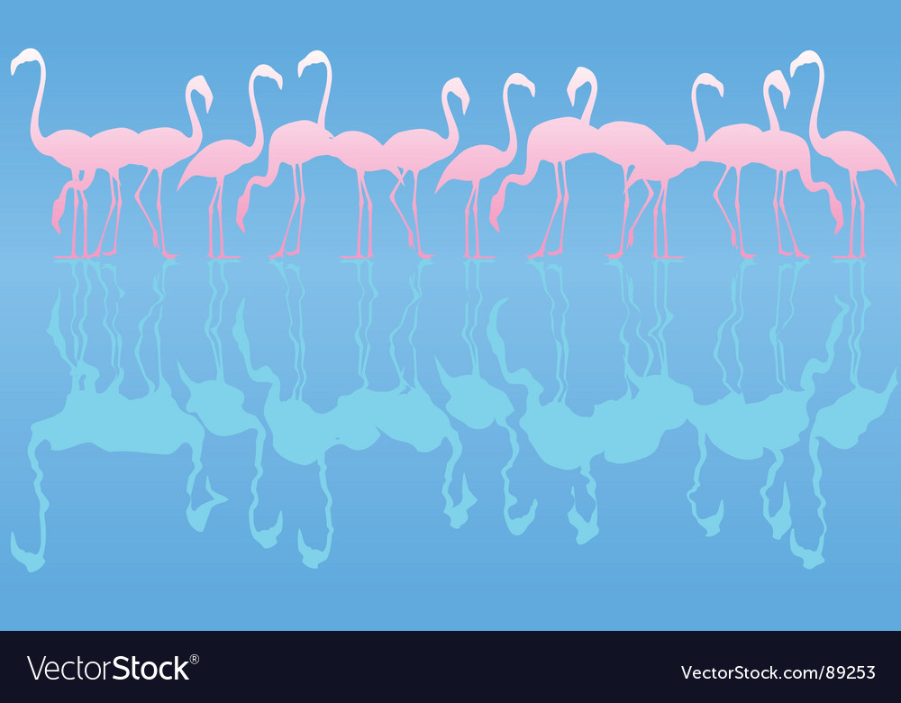 Flamingos Royalty Free Vector Image - VectorStock