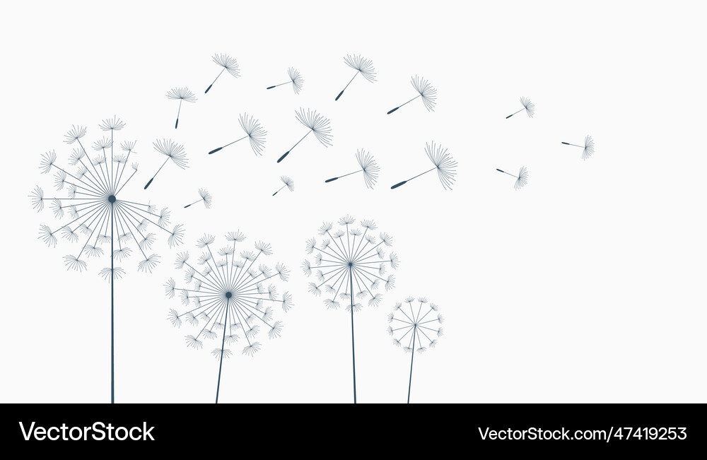 Flying dandelion flower seeds make a wish concept Vector Image