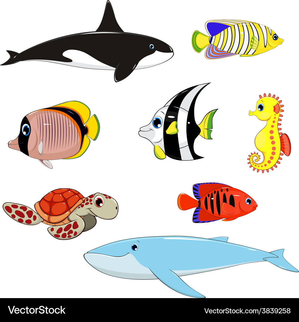 Set of marine animals Royalty Free Vector Image