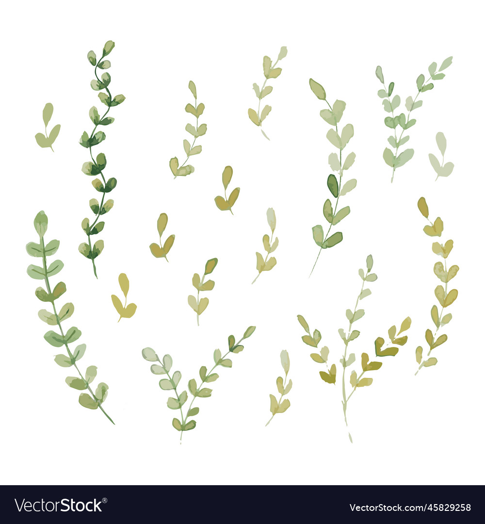 Watercolor botanical clipart set of green leaves Vector Image