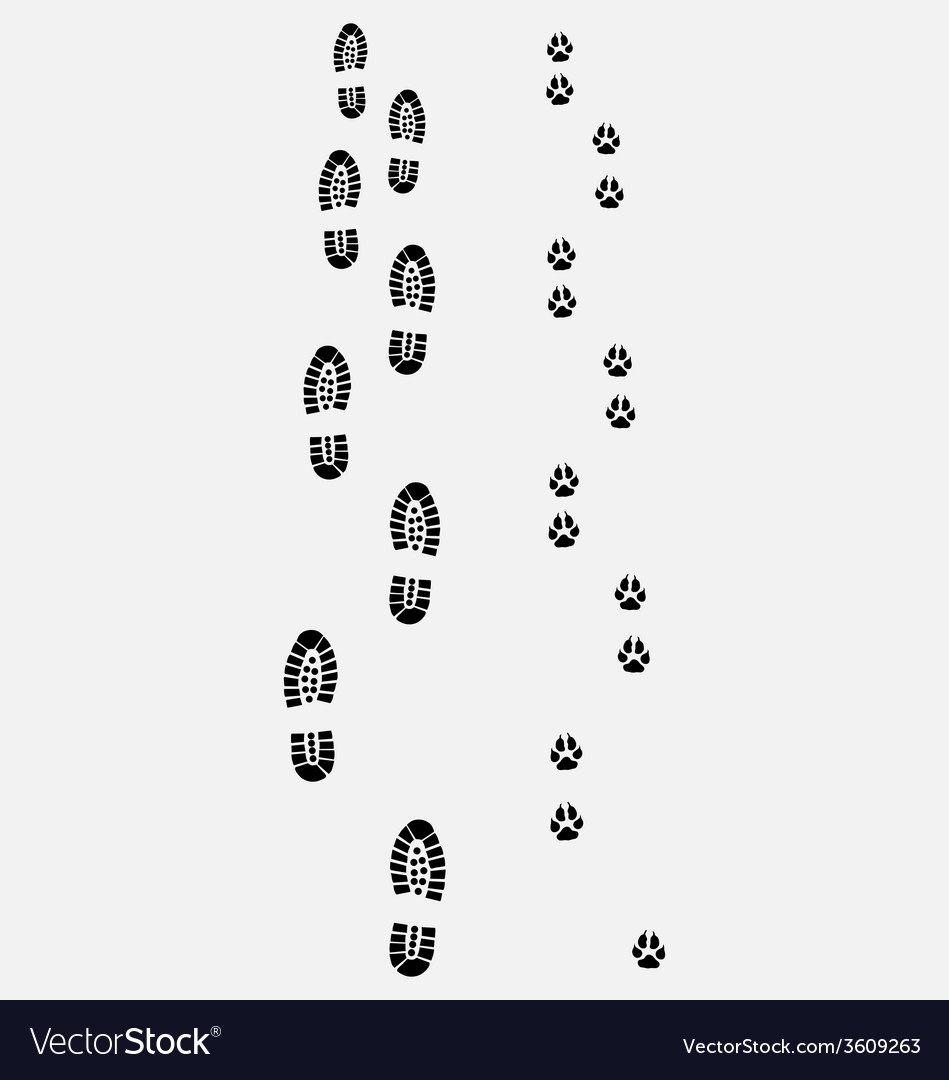 Footprints Royalty Free Vector Image - VectorStock