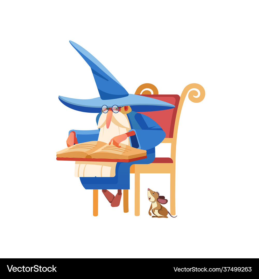 Wizard reading a spell book old medieval magician Vector Image