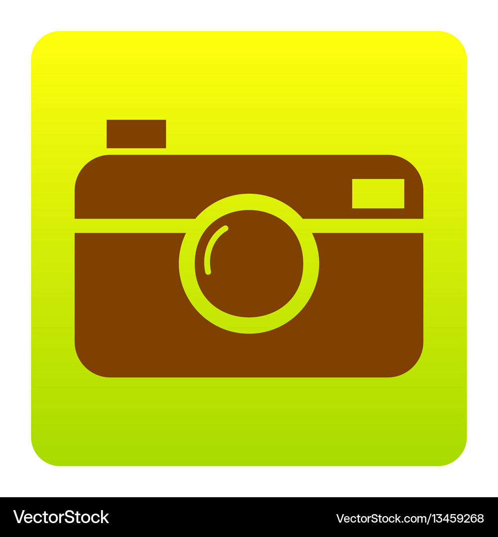 Digital photo camera sign brown icon Royalty Free Vector