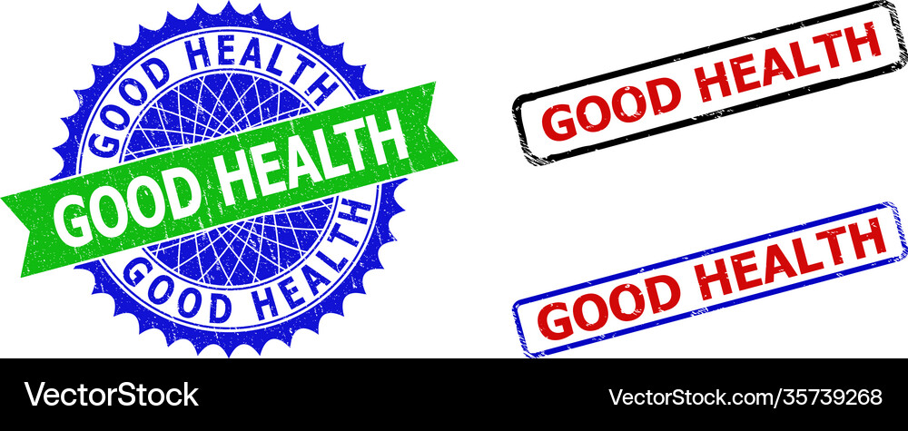 Good health rosette and rectangle bicolor badges Vector Image