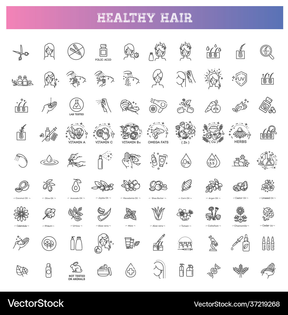 Hair strengthening and growth Royalty Free Vector Image