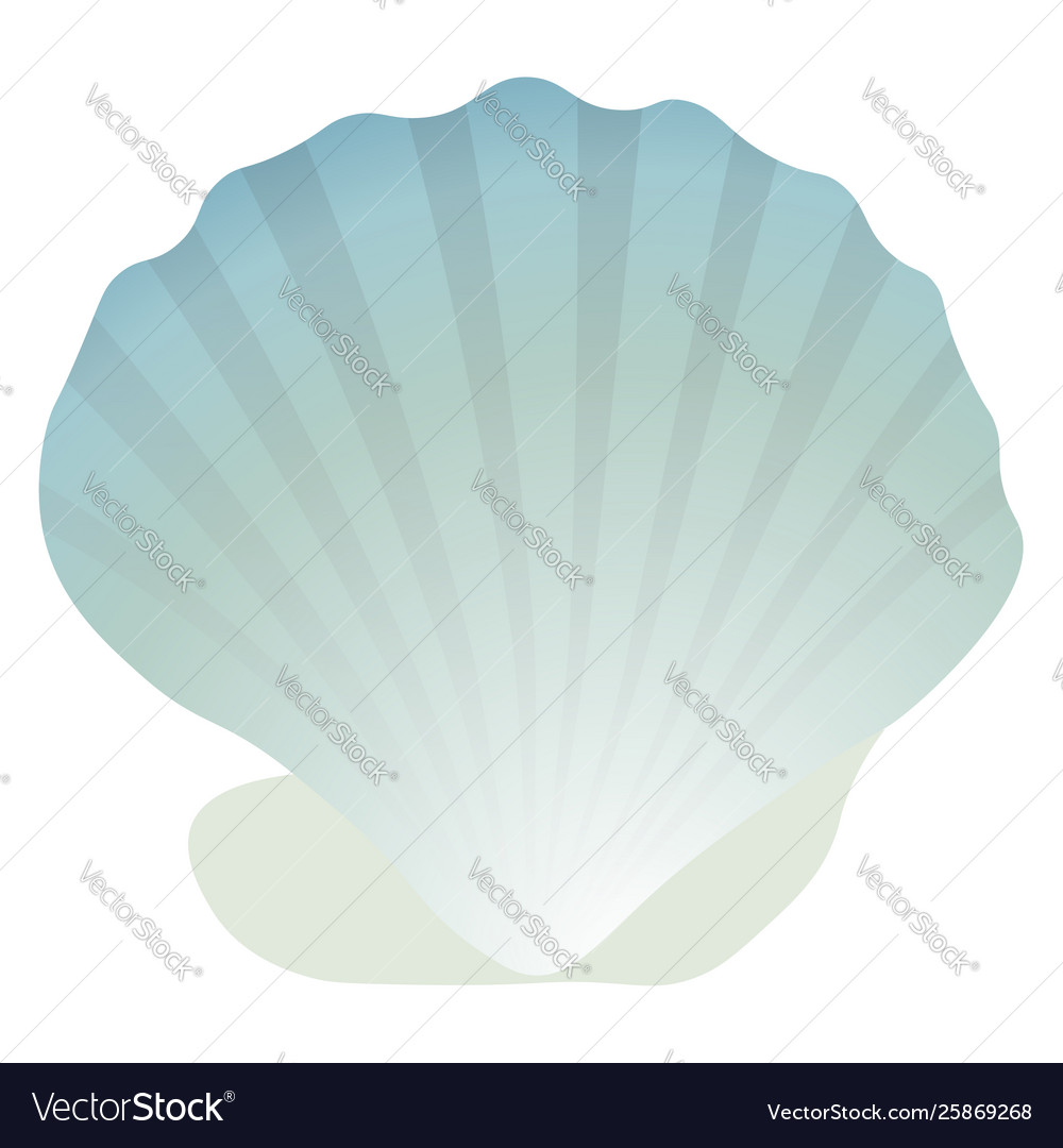 Shell Royalty Free Vector Image - VectorStock