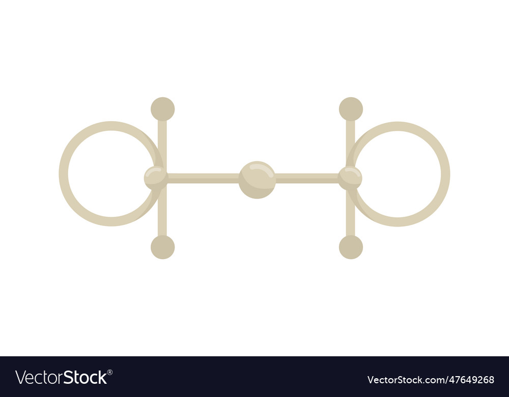 Snaffle equestrian accessory Royalty Free Vector Image