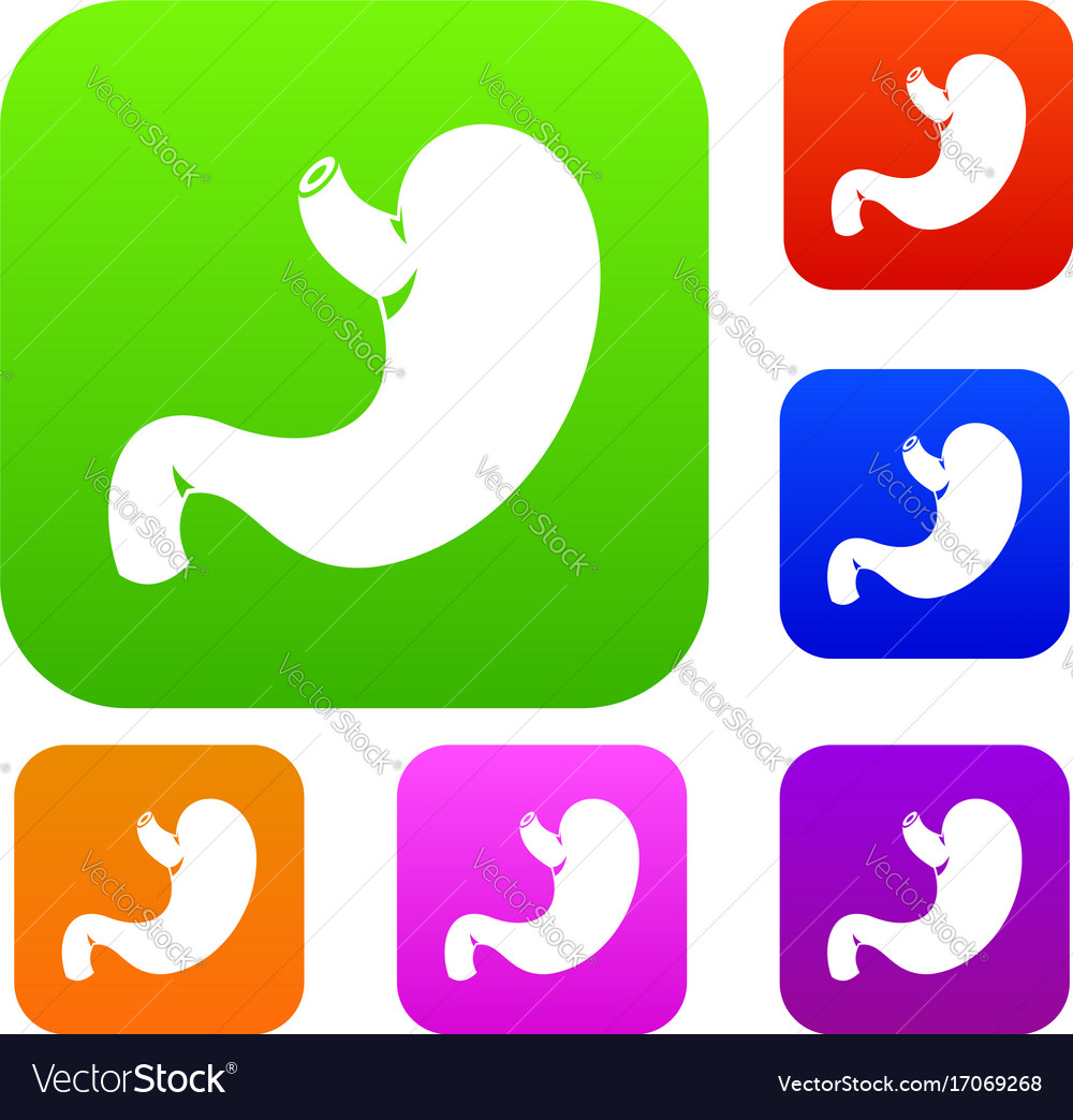 Stomach set collection Royalty Free Vector Image