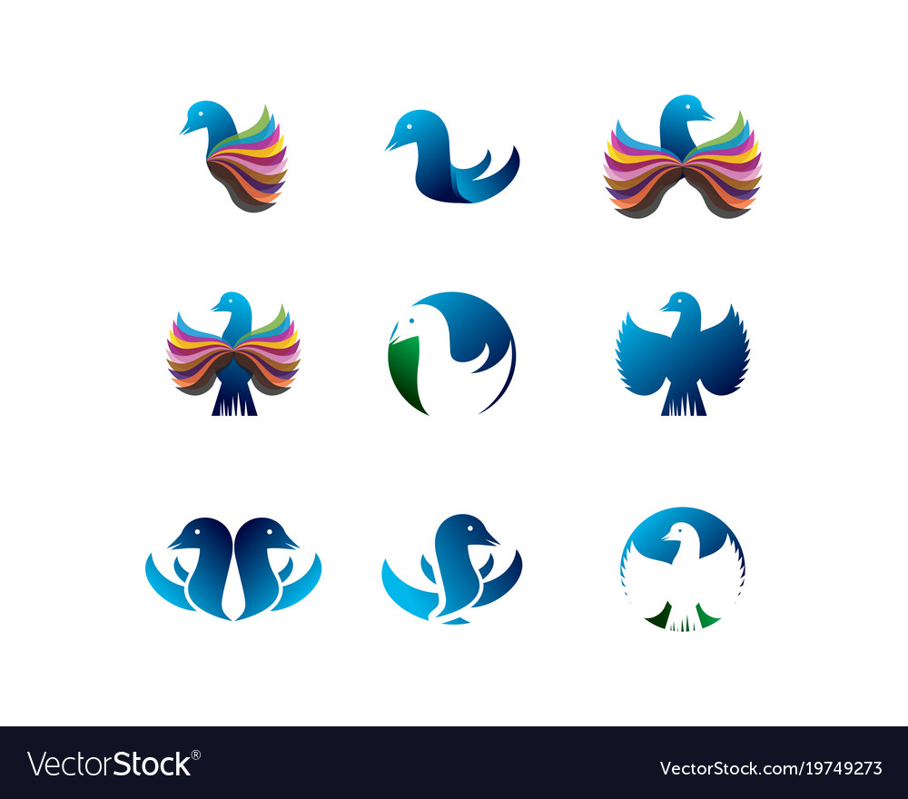 Bird logo collection Royalty Free Vector Image
