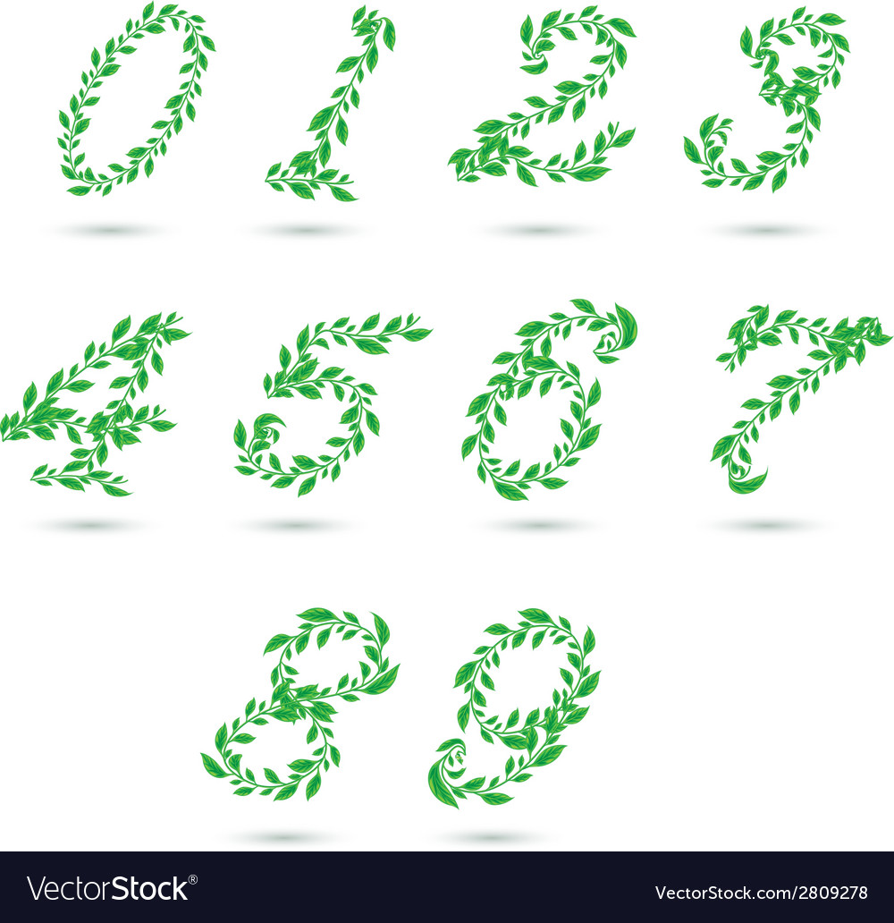 Leaf text number Royalty Free Vector Image - VectorStock