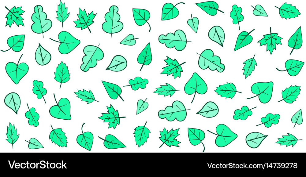 Set summer autumn fall minimal design leaves Vector Image