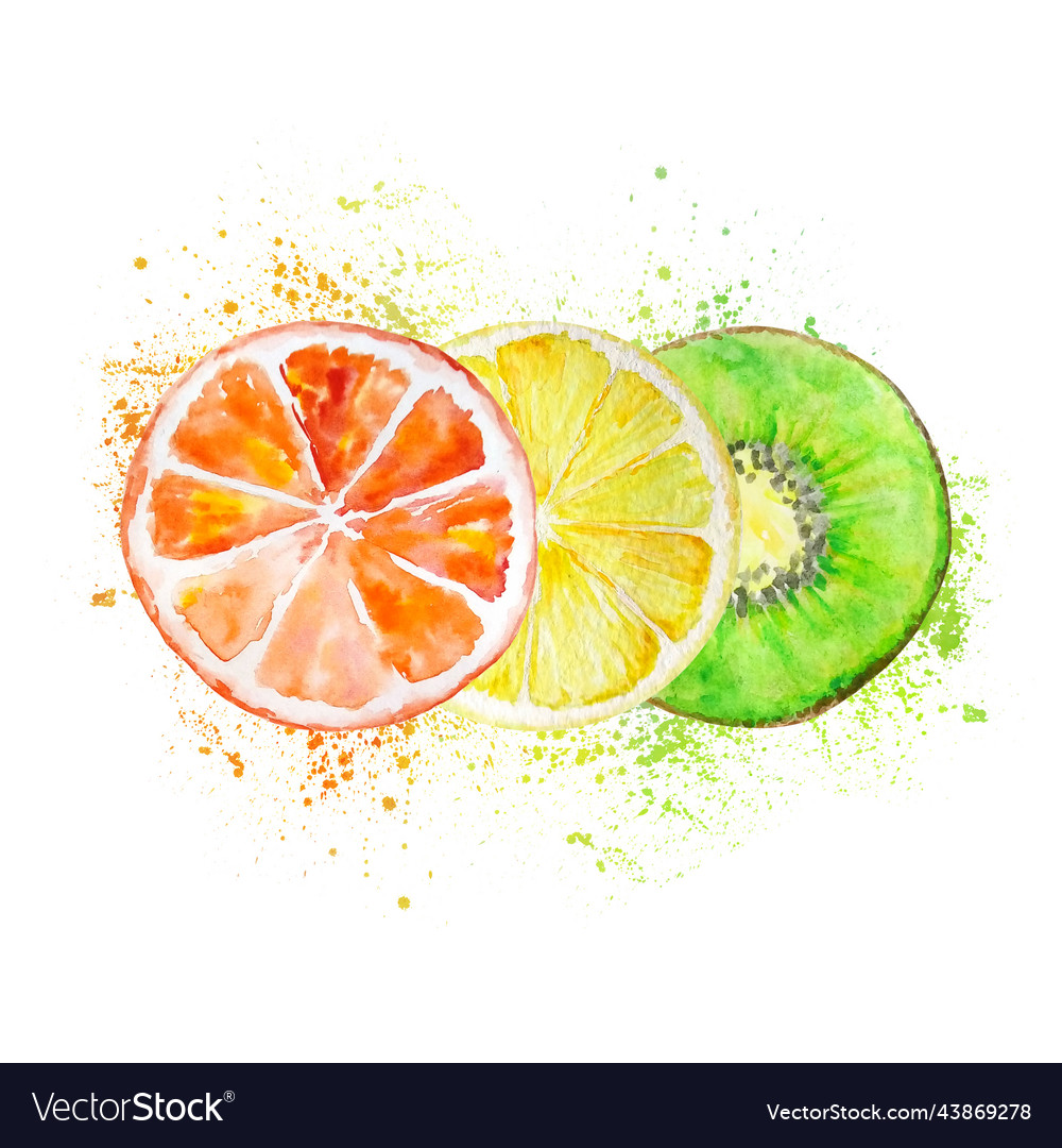 Watercolor slices of lemon orange and kiwi Vector Image