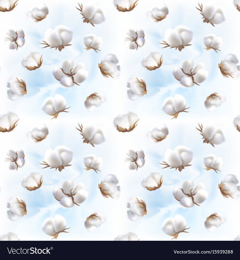 Cotton pattern Royalty Free Vector Image - VectorStock