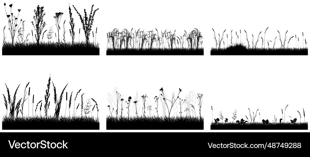 Grass with wild plants black silhouette Royalty Free Vector