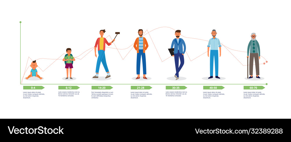Life Cycle Chart Cartoon Character Growing From Vector Image | The Best ...