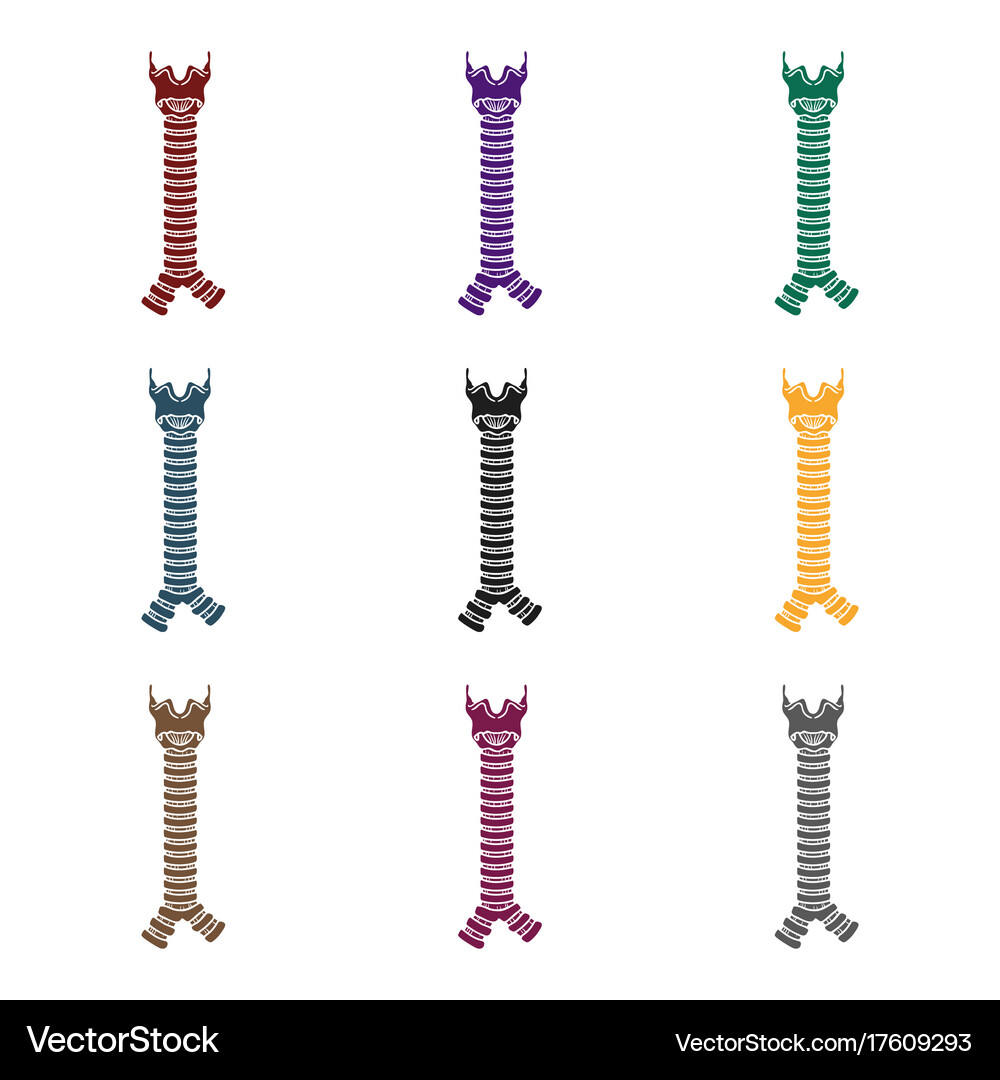 Human trachea icon in black style isolated Vector Image