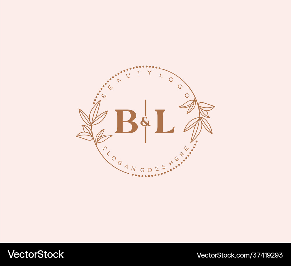 Initial bl letters beautiful floral feminine Vector Image