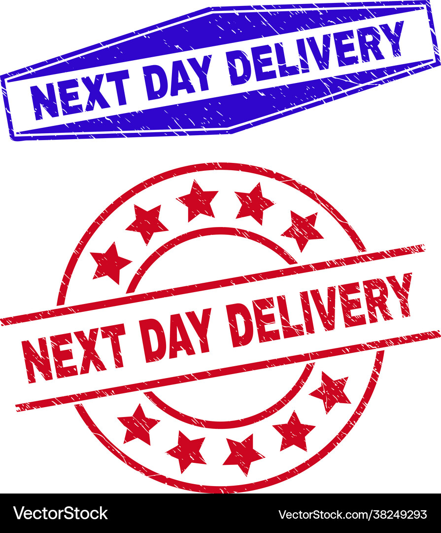 Next day delivery textured stamps in round Vector Image