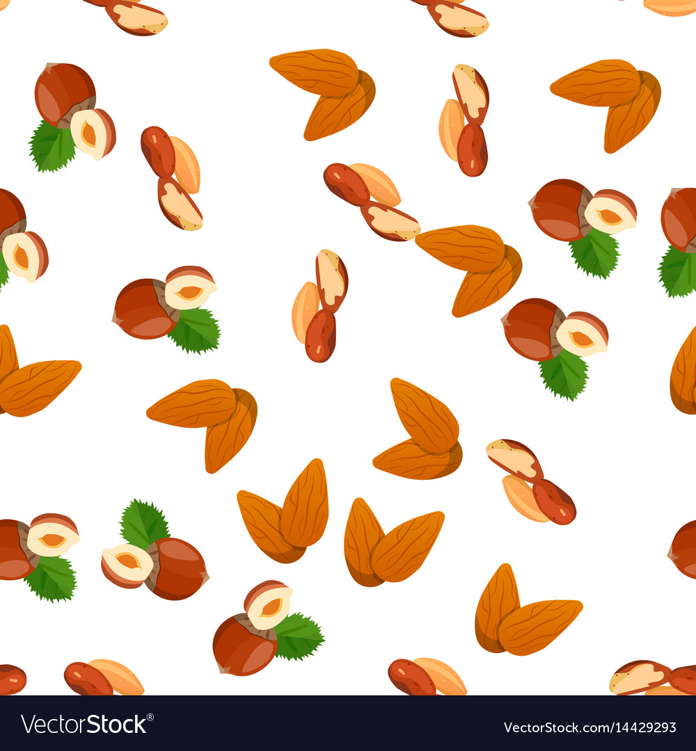 Nuts Royalty Free Vector Image - VectorStock
