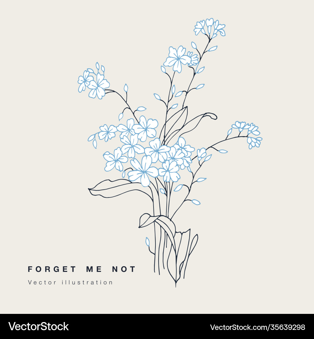 Hand draw forget ma not flowers Royalty Free Vector Image