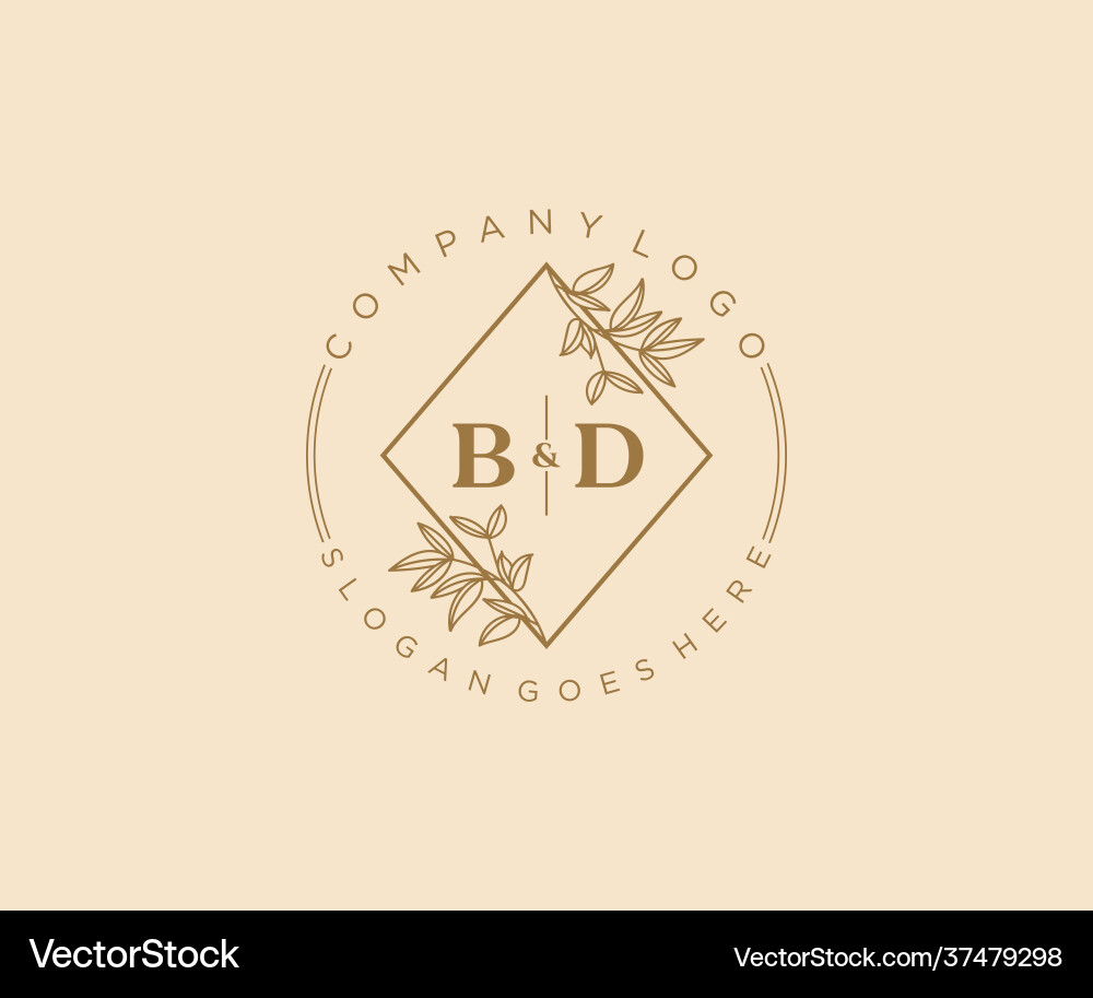 Initial bd letters beautiful floral feminine Vector Image