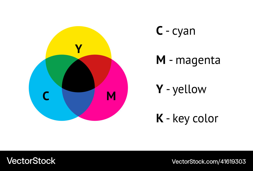 Cmyk color model concept infographic design Vector Image