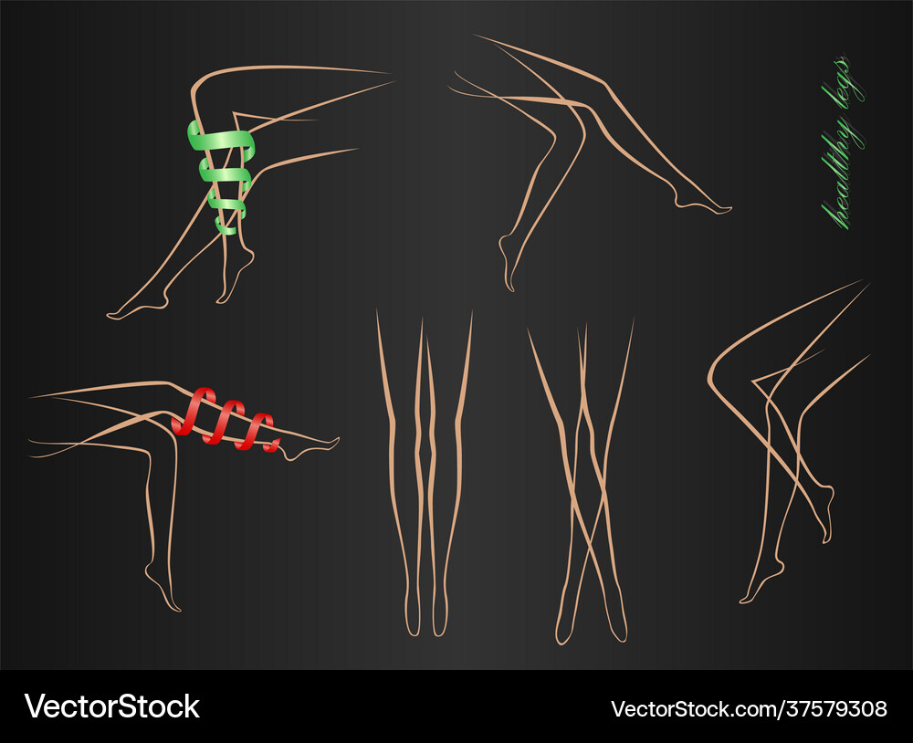 Contours shapely female legs in various poses Vector Image