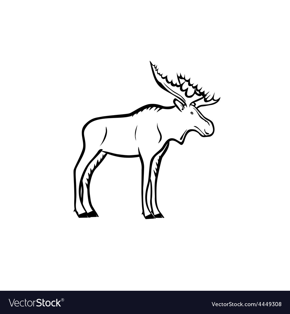 Moose Royalty Free Vector Image - VectorStock