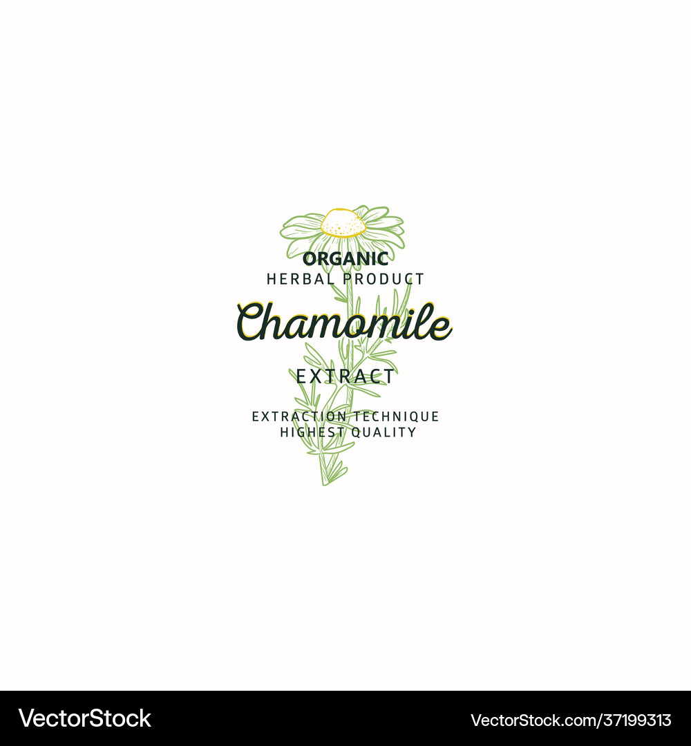 Chamomile symbol natural logo brand Royalty Free Vector