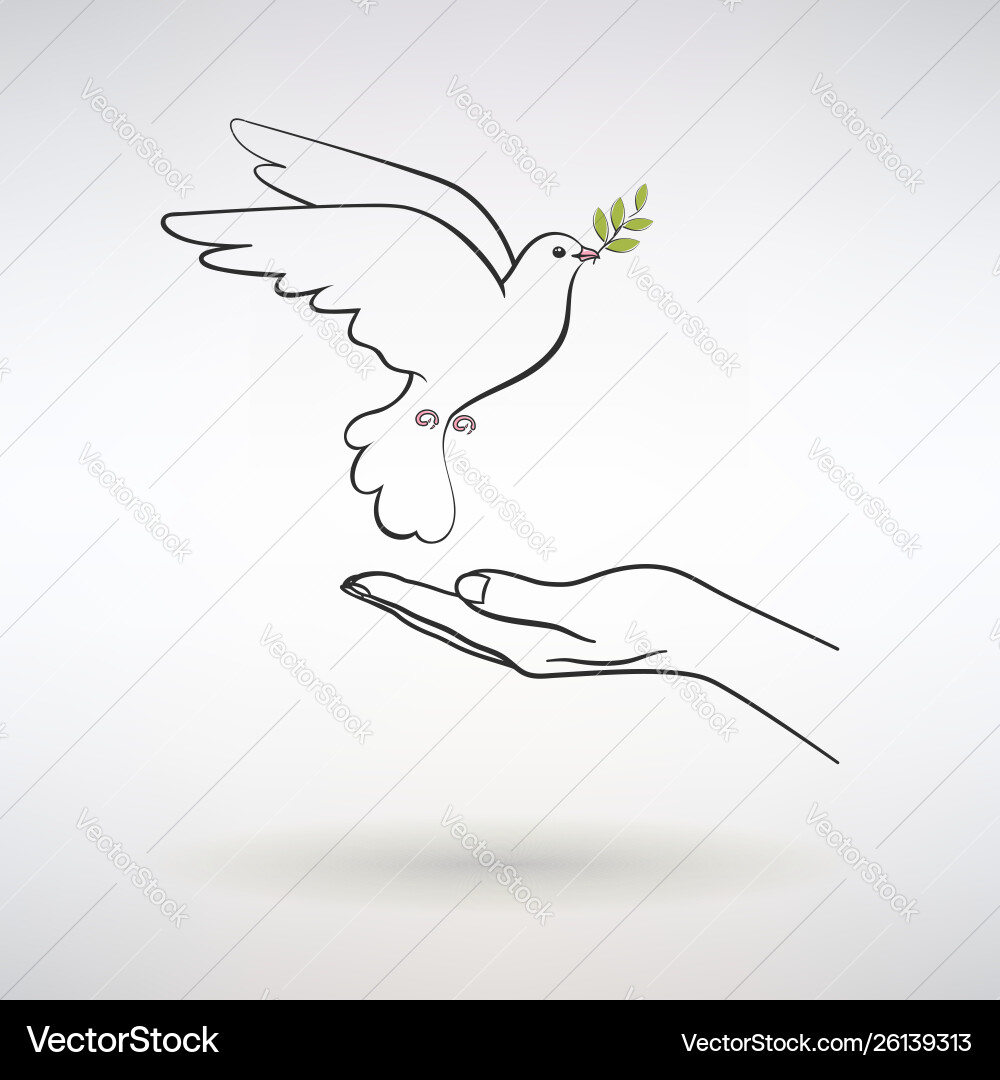 Dove peace flies to open palm Royalty Free Vector Image