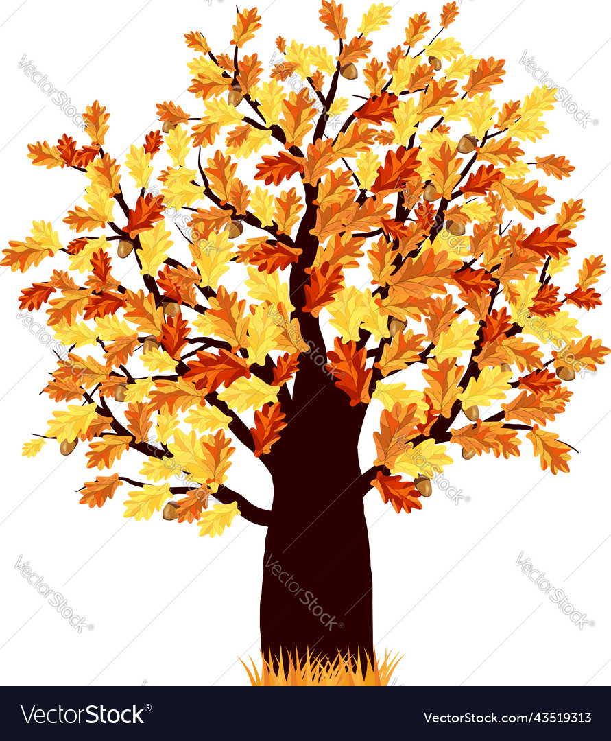 Fall tree Royalty Free Vector Image - VectorStock