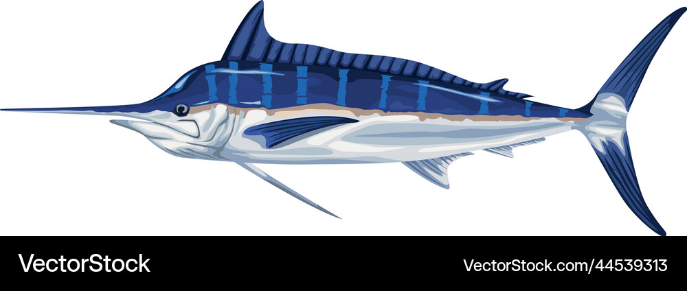 Marlin marine life animal Royalty Free Vector Image