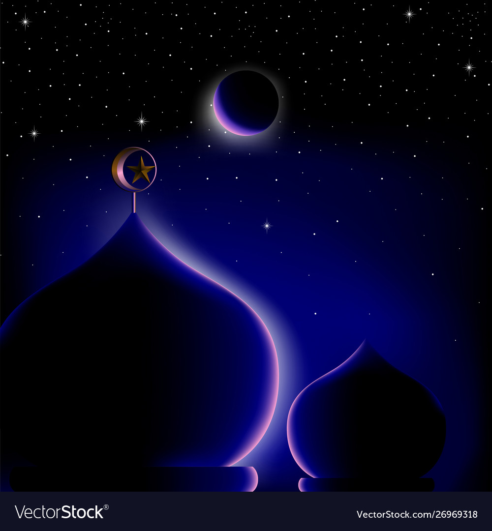 Islamic theme Royalty Free Vector Image - VectorStock