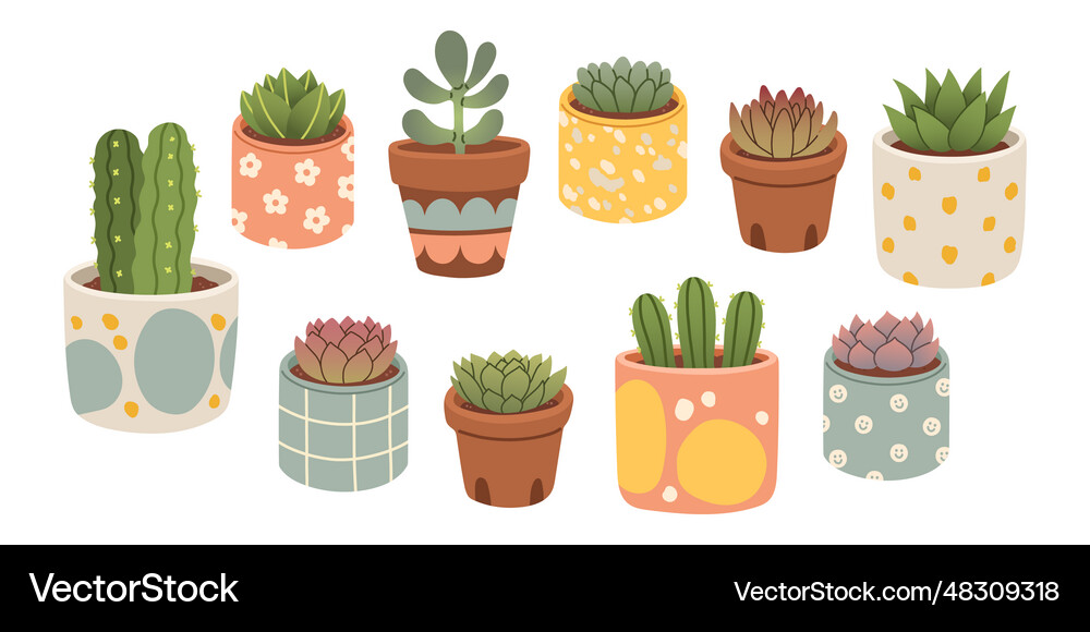 Succulent cactus set in pot Royalty Free Vector Image