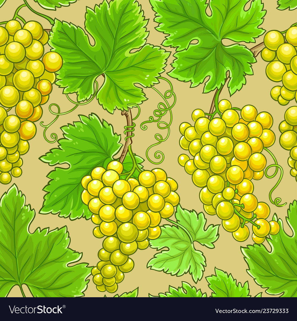 Grapes pattern Royalty Free Vector Image - VectorStock