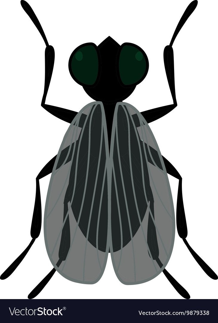 Fly Royalty Free Vector Image - VectorStock