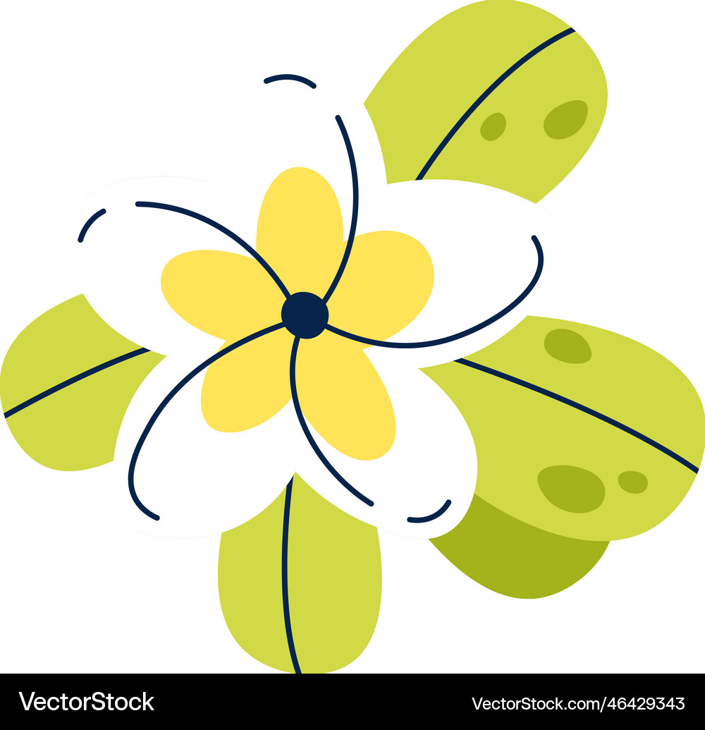 Exotic tropical flower with leaves Royalty Free Vector Image