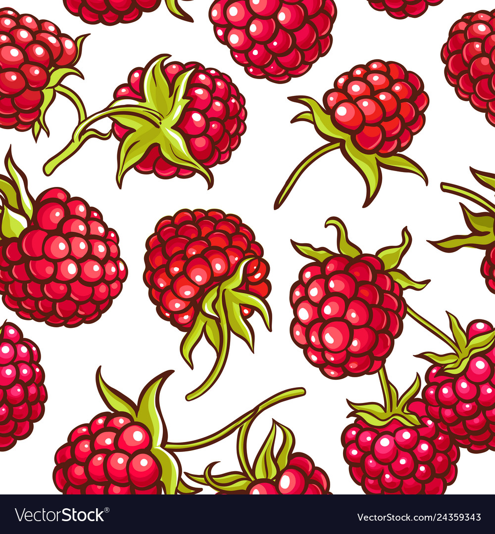 Raspberry berries pattern Royalty Free Vector Image