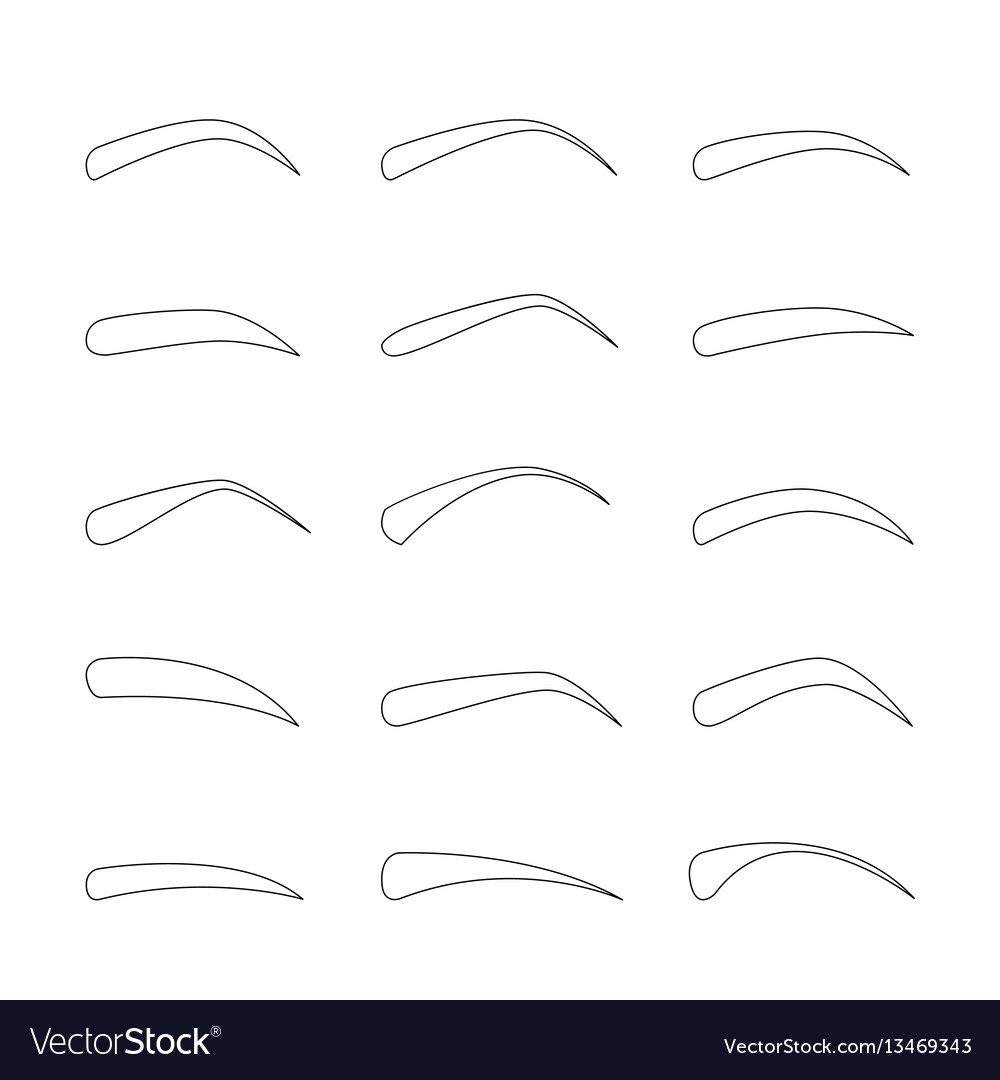 Set Of Outline Eyebrows In Different Shapes Vector Image
