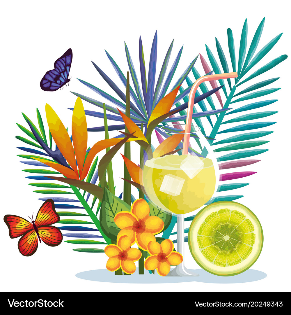 Tropical cocktail with lime fruit and decoration Vector Image