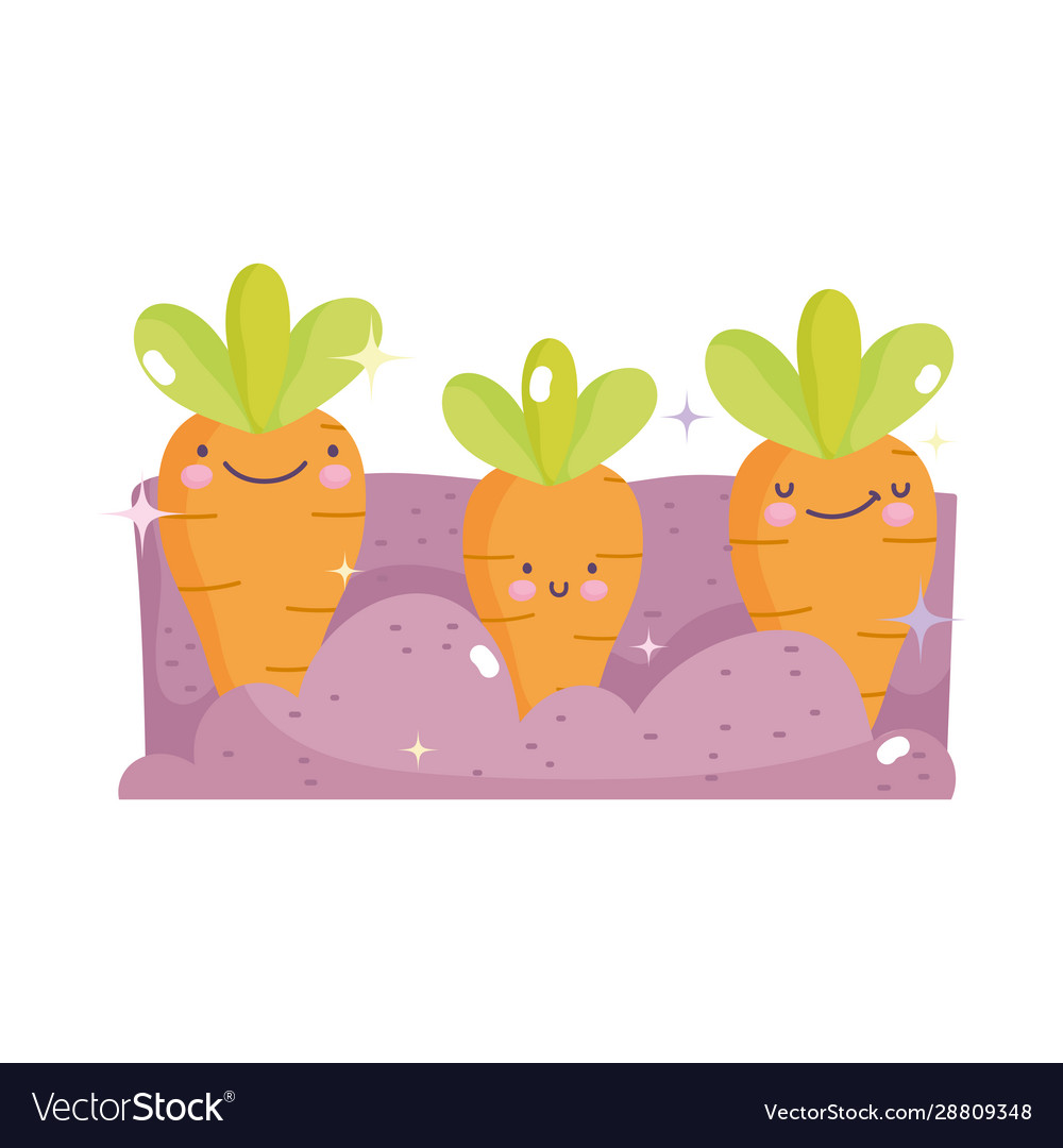 Kawaii Gardening Cartoon Happy Planted Carrots Vector Image