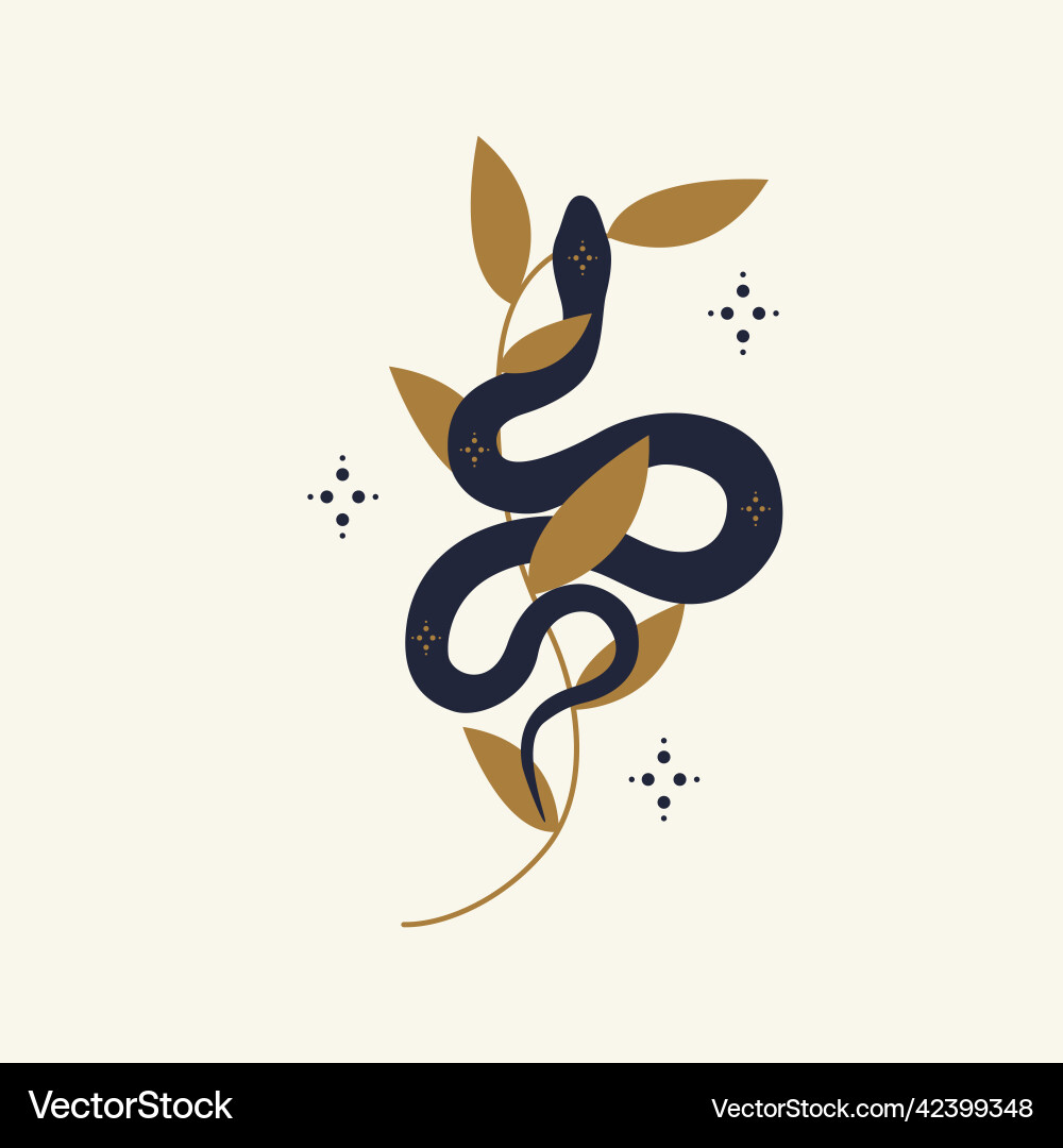 Magic snake with moon star and crescents Vector Image