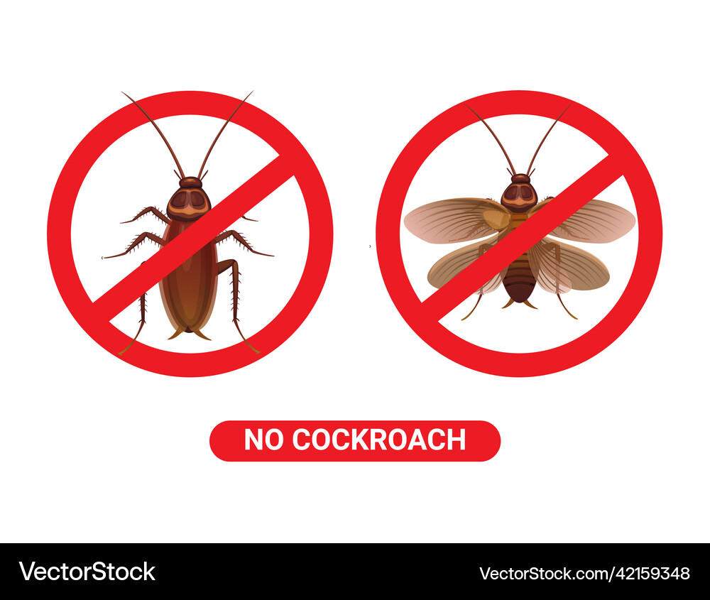 No cockroach pest control symbol cartoon Vector Image