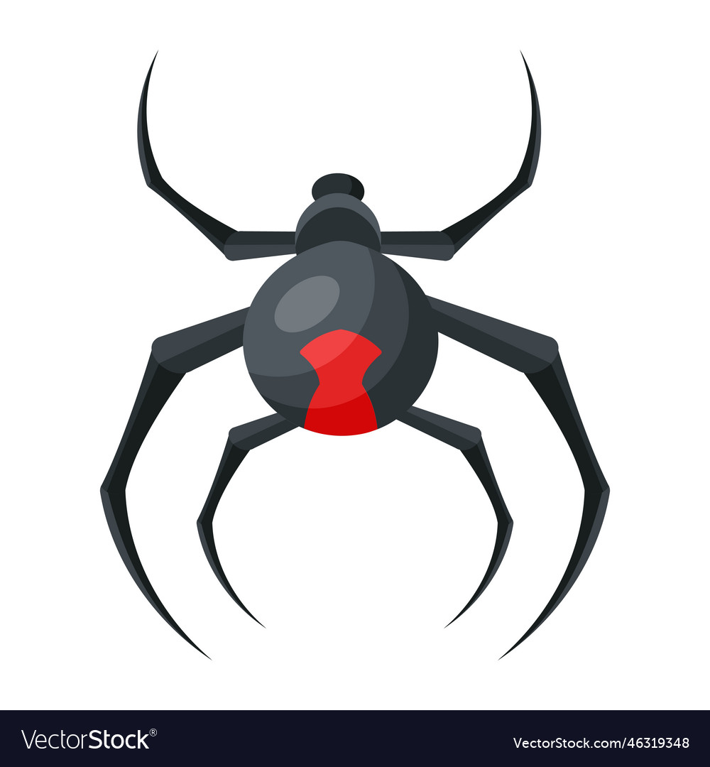 Spider Royalty Free Vector Image - VectorStock